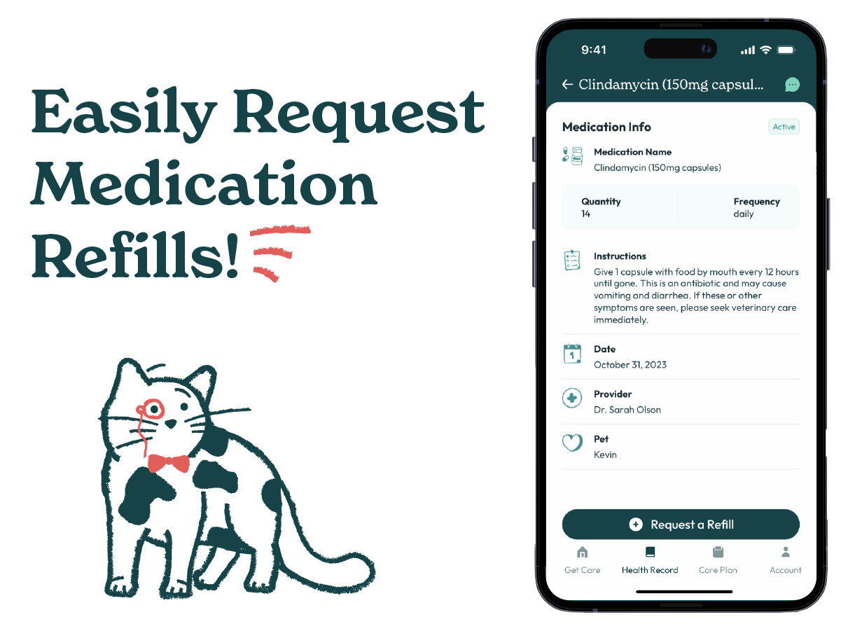 Sploot Vets App | Available on App Store & Google Play